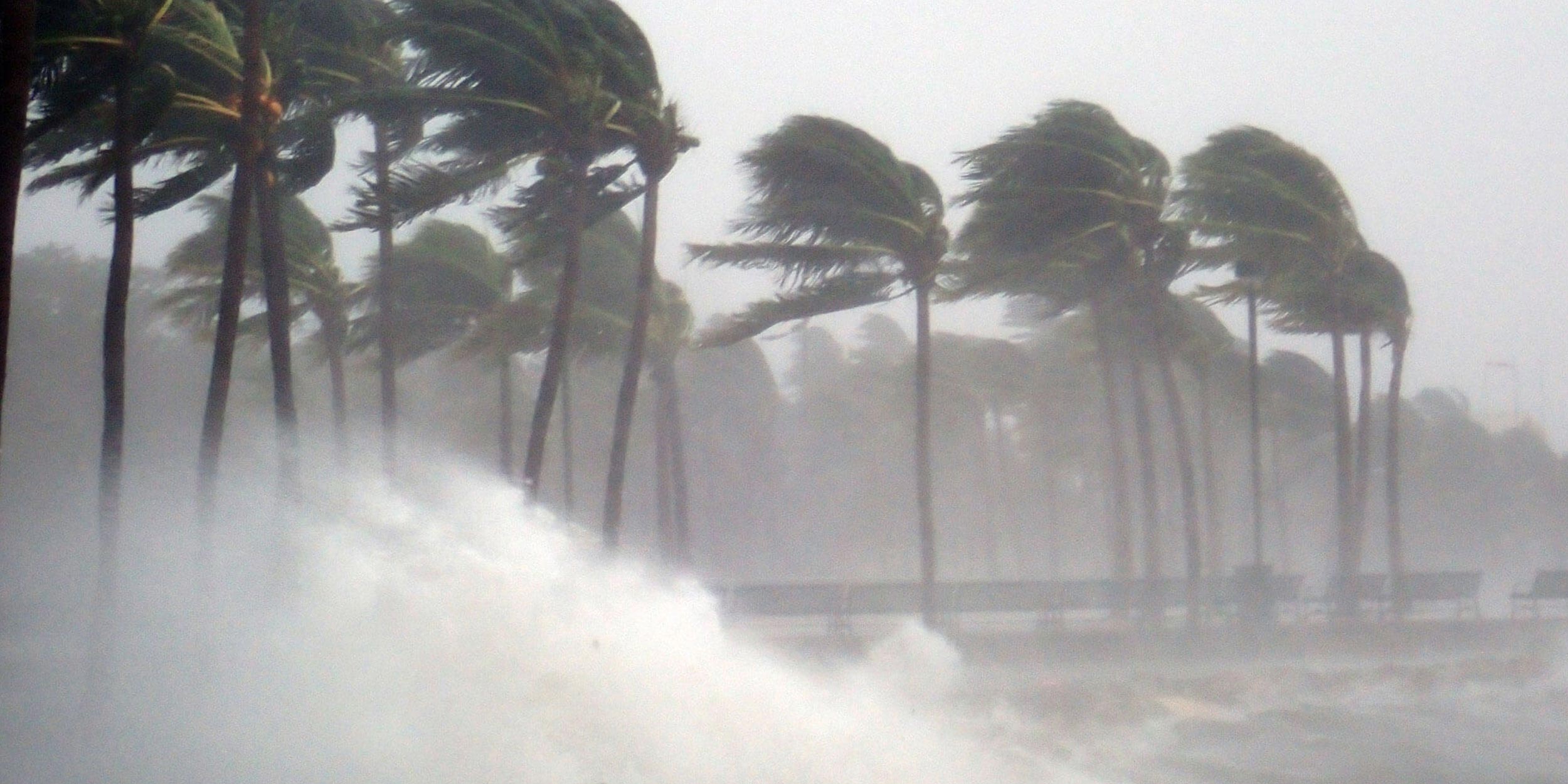 Before, during, and after a windstorm - Aaxel