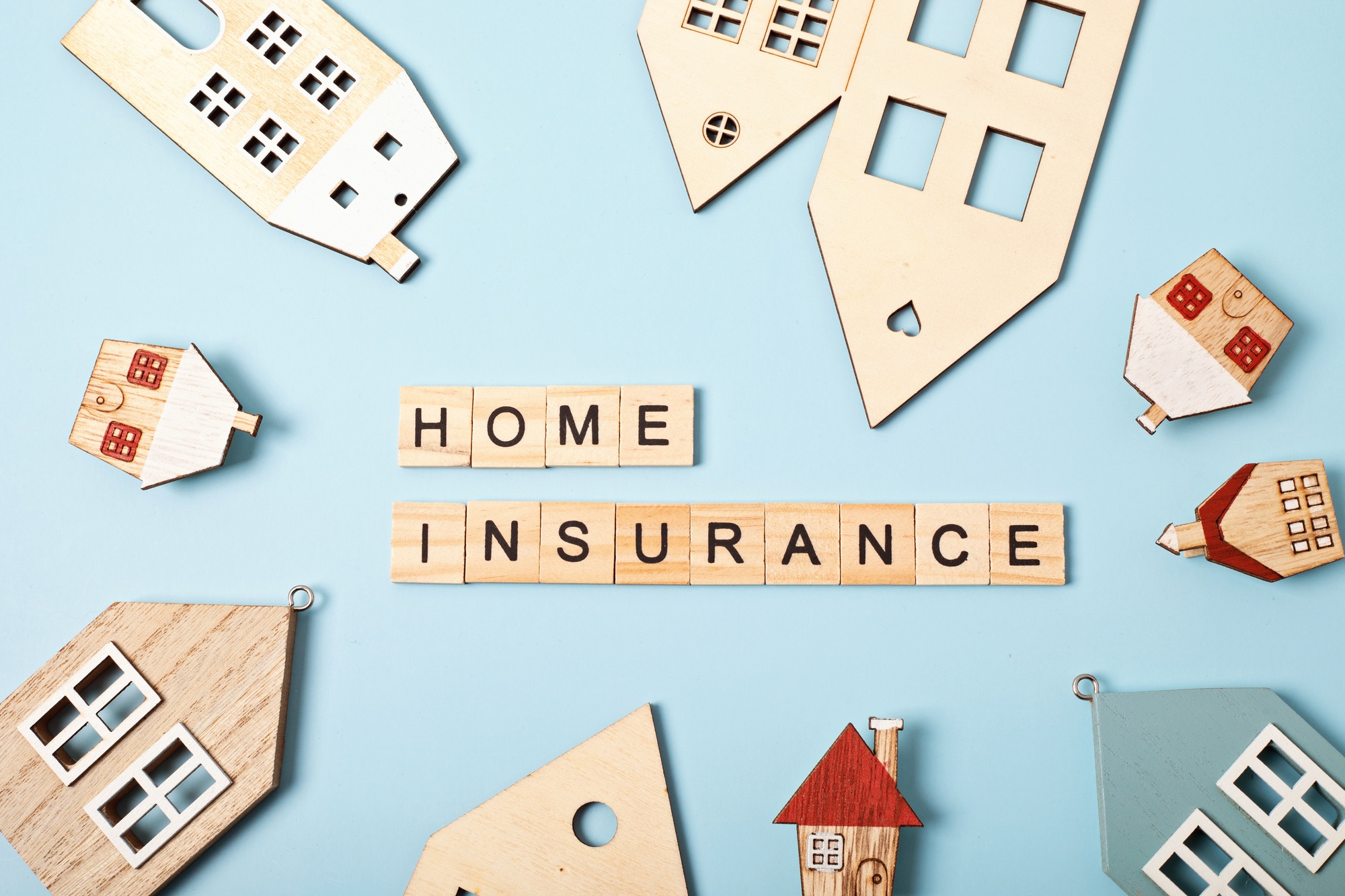 How Home Insurance Can Protect You From Spring Pests - Aaxel